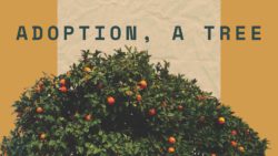 Adoption Identity Issues: Fostering Asian American & Adoptee Identity